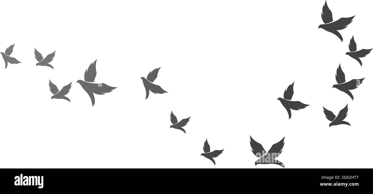 Bird background Template vector illustration Stock Vector Image & Art ...