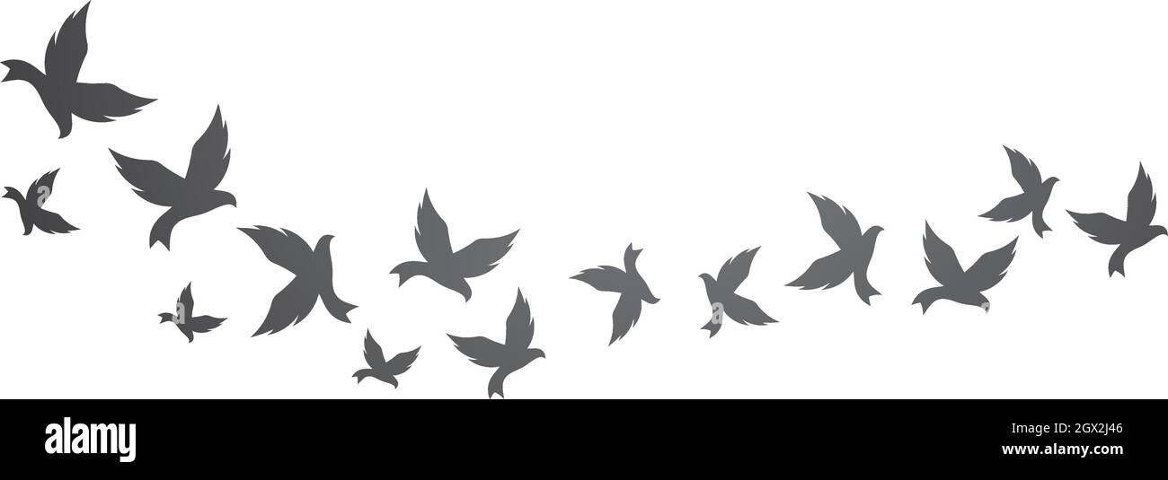 Bird background Template vector illustration Stock Vector Image & Art ...