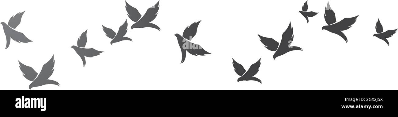 Bird background Template vector illustration Stock Vector Image & Art ...