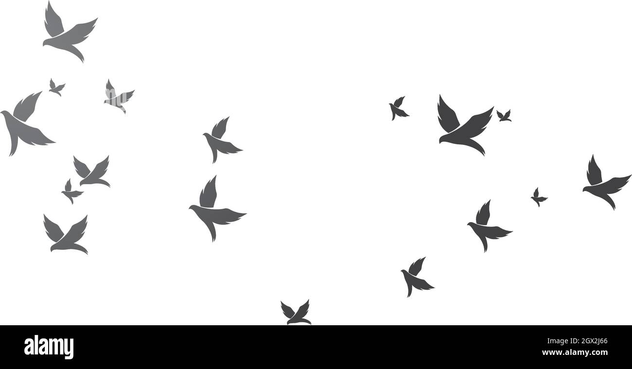 Bird background Template vector illustration Stock Vector Image & Art ...