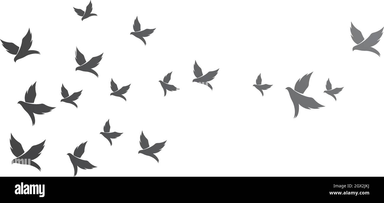 Bird background Template vector illustration Stock Vector Image & Art ...