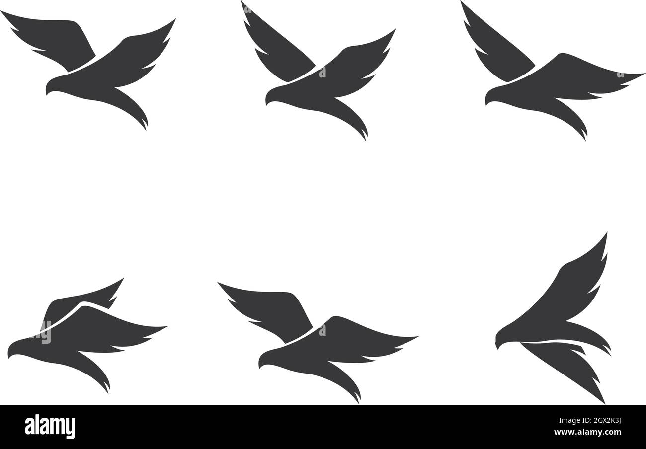 Bird Logo Template vector illustration Stock Vector Image & Art - Alamy