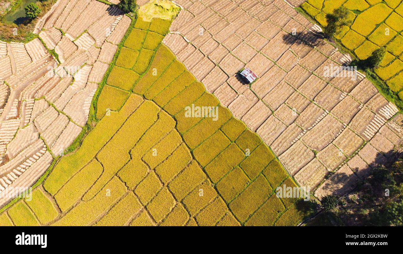 Map of yellow grass High Resolution Stock Photography and Images - Alamy