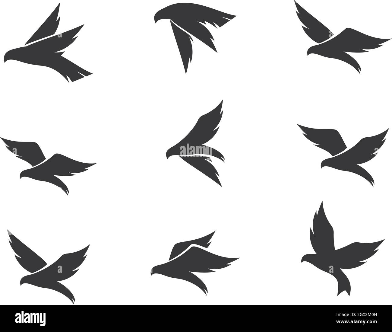 Bird background Template vector illustration Stock Vector Image & Art ...