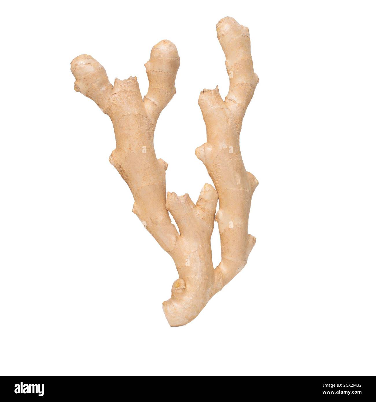 Big ginger root isolated on the white background Stock Photo - Alamy