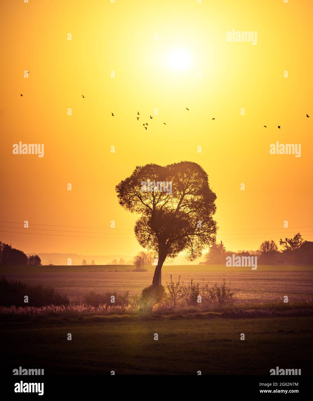 Dust particles sunlight hi-res stock photography and images - Alamy