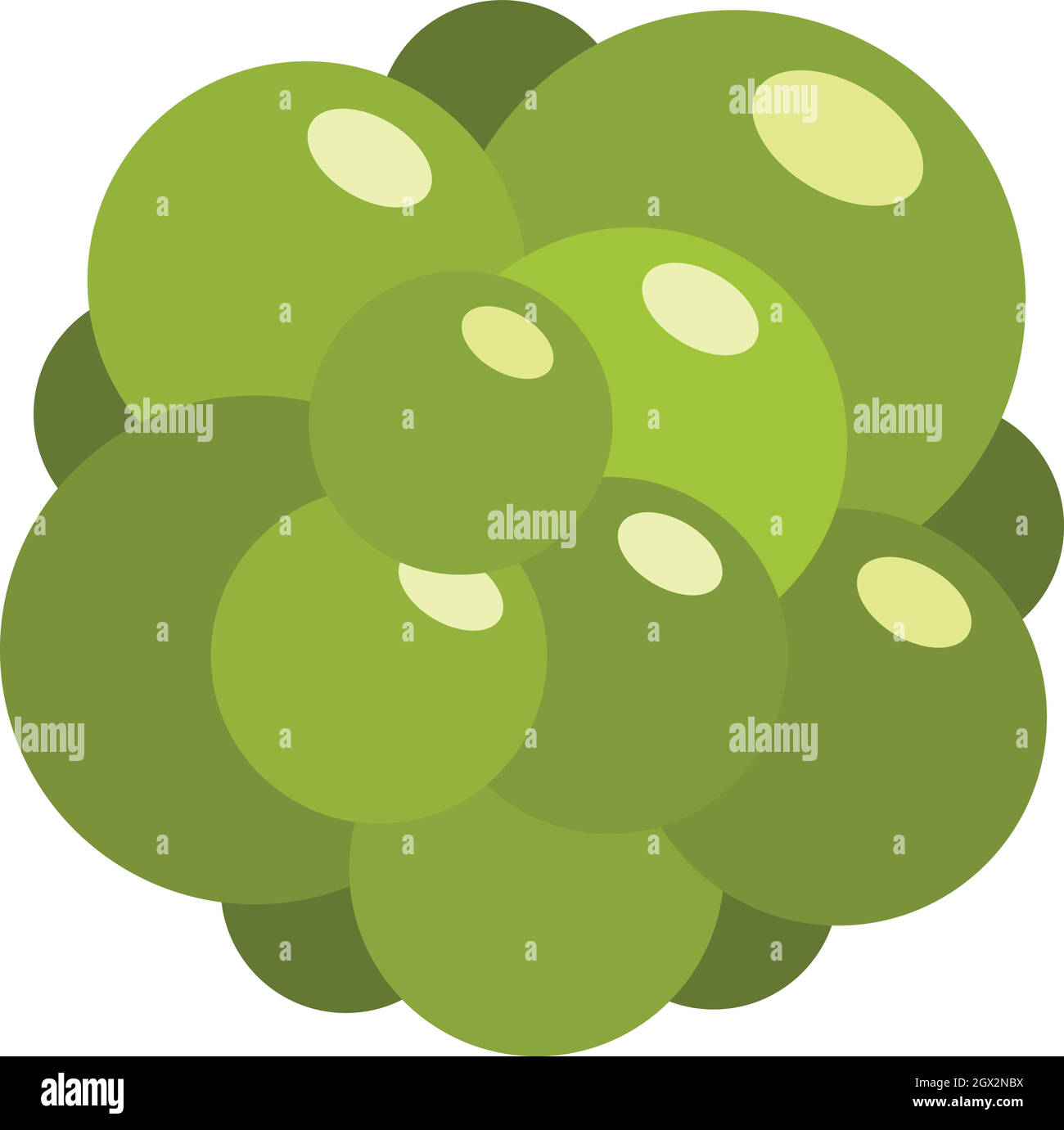 Healthy ovary hi-res stock photography and images - Alamy