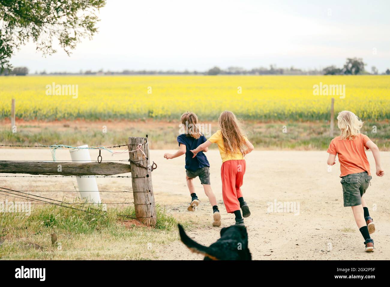 Australian Farm Kids High Resolution Stock Photography and Images - Alamy