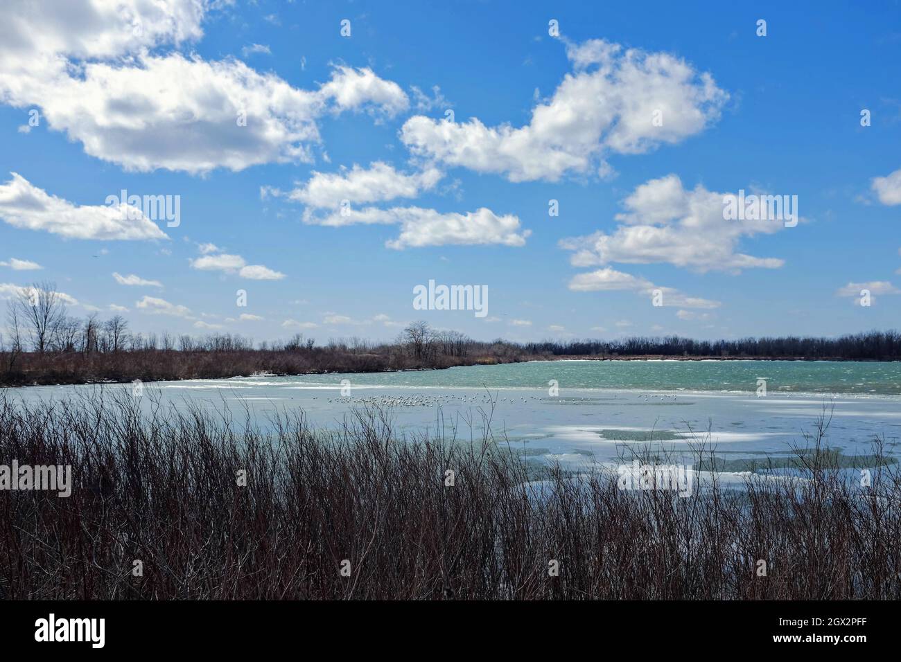 Tommy Thompson Park High Resolution Stock Photography and Images - Alamy