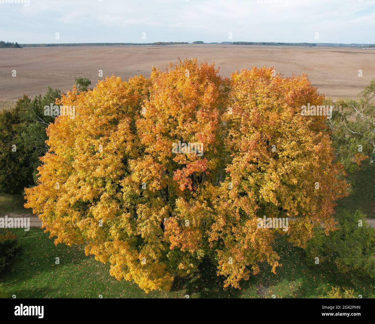 Rural background hi-res stock photography and images - Alamy
