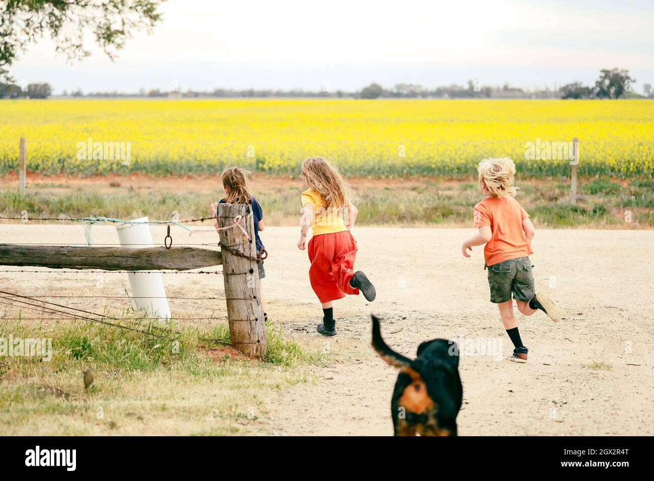 Australian agriculture with child hi-res stock photography and images ...