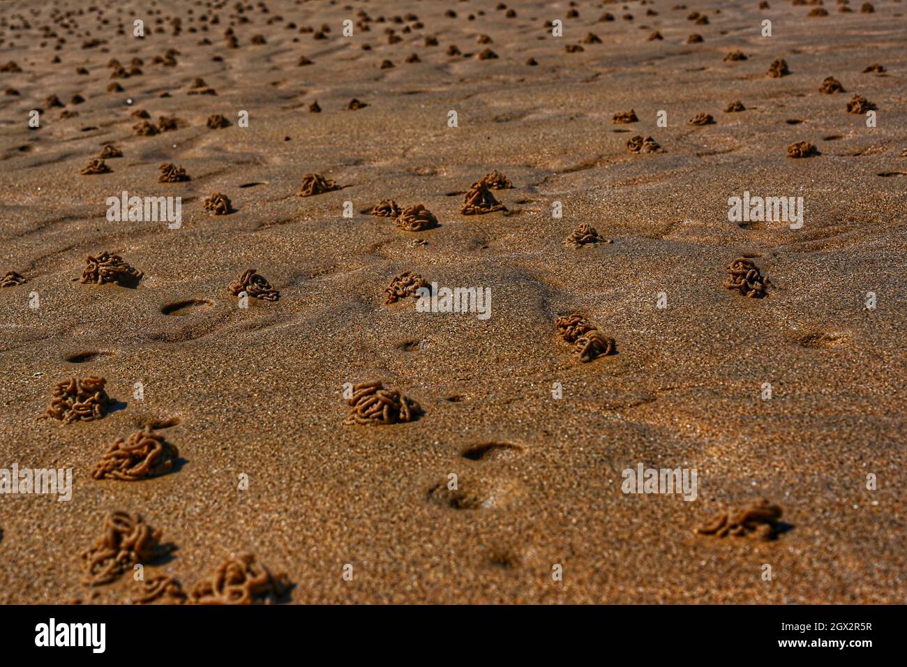 On the beach dieppe hi-res stock photography and images - Alamy