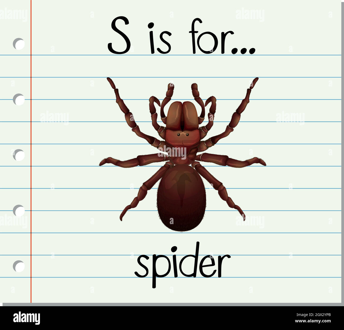 Flashcard letter S is for Stock Vector Image & Art - Alamy