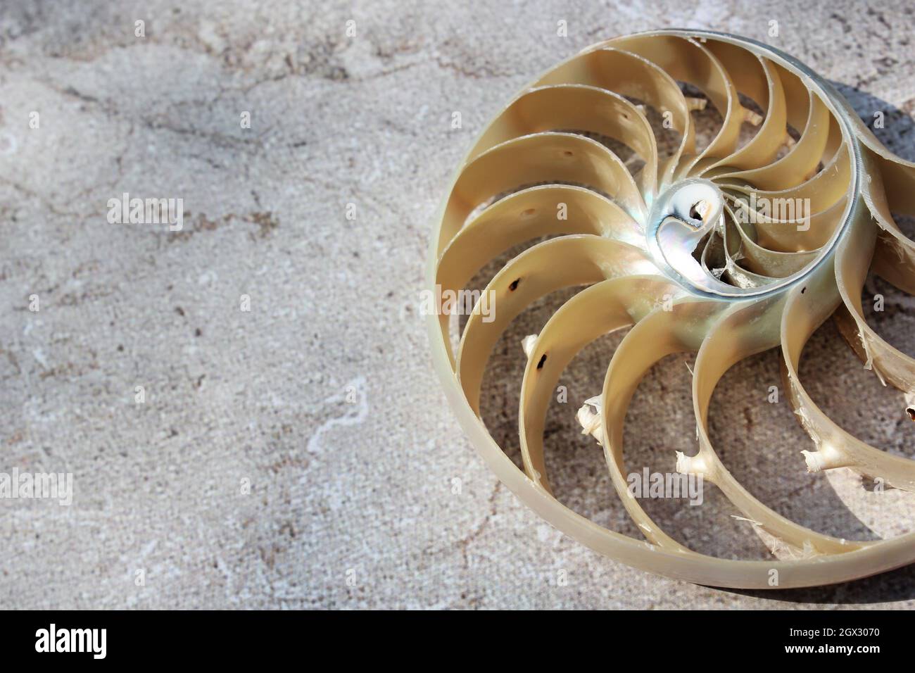 Fibonacci Sequence High Resolution Stock Photography and Images - Alamy