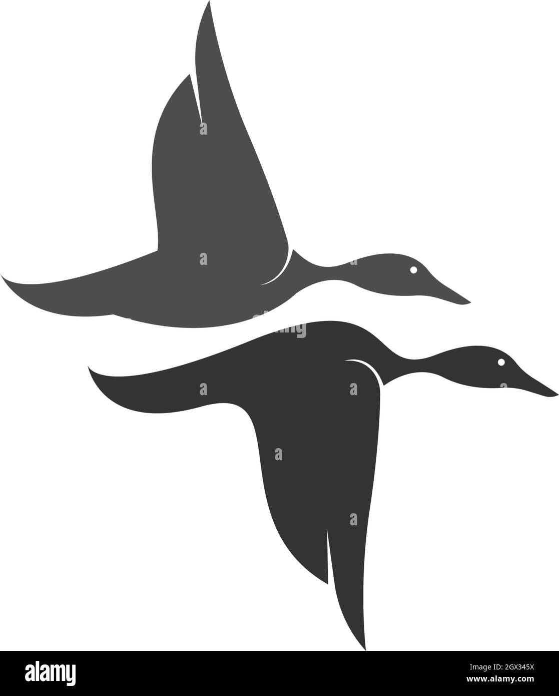 Duck icon logo design concept template illustration Stock Vector Image ...