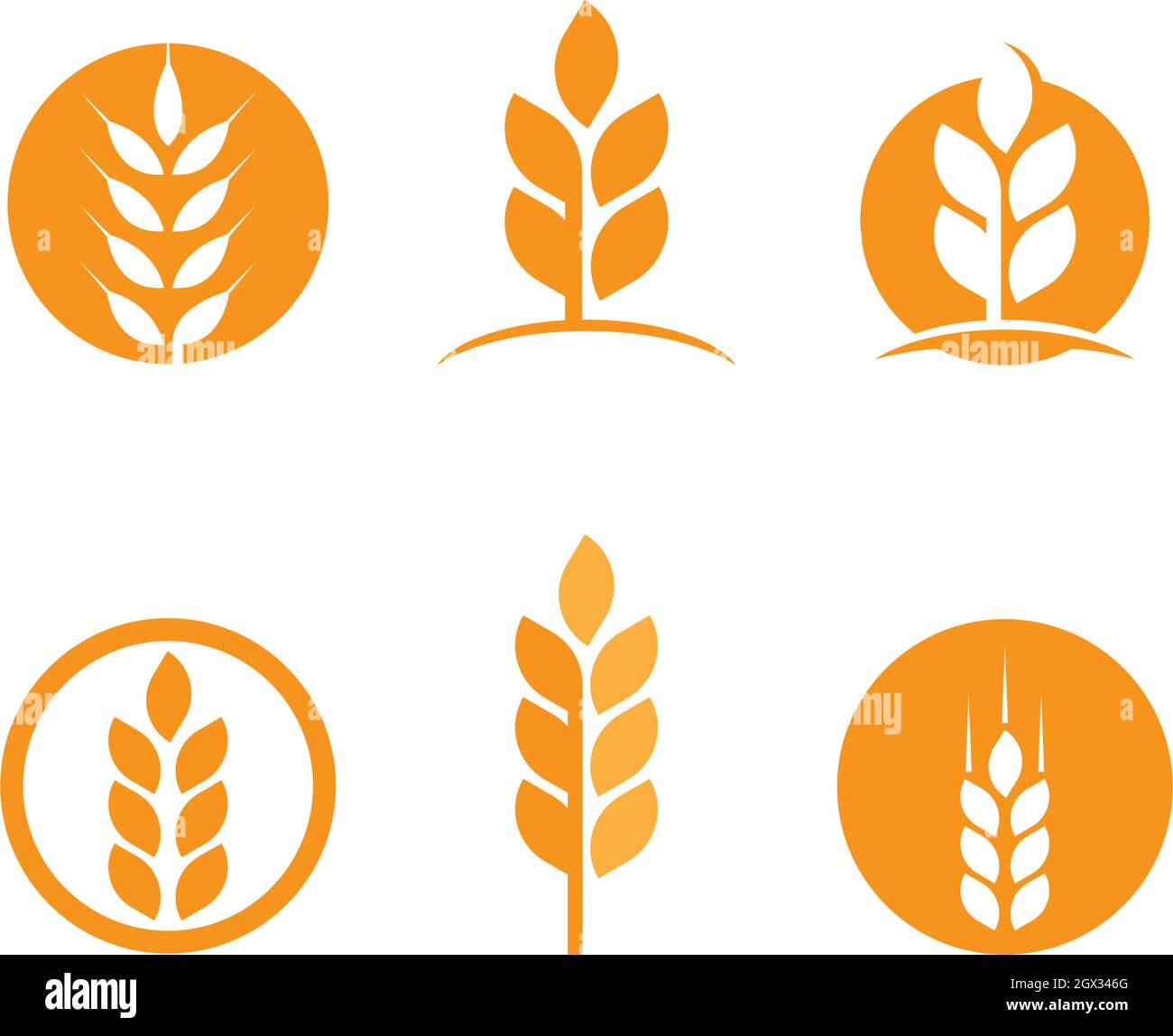 Agriculture wheat Logo Template vector icon design Stock Vector Image ...