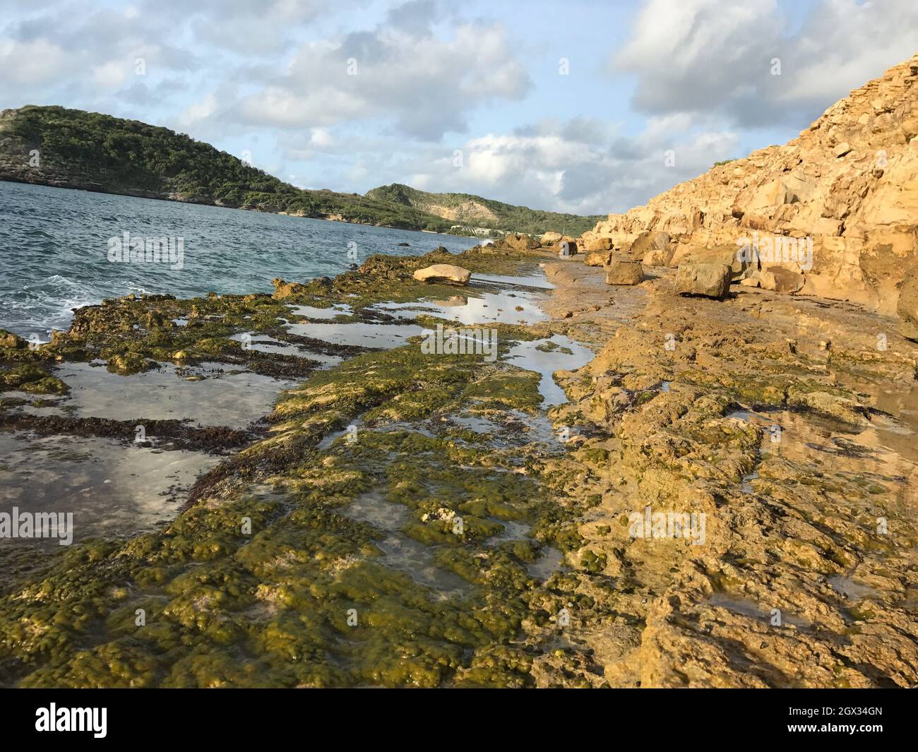 Mill Reef High Resolution Stock Photography and Images - Alamy