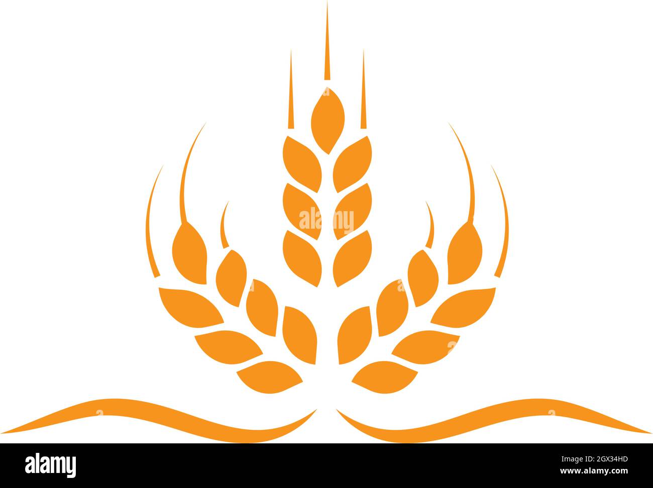 Agriculture wheat Logo Template vector icon design Stock Vector Image ...
