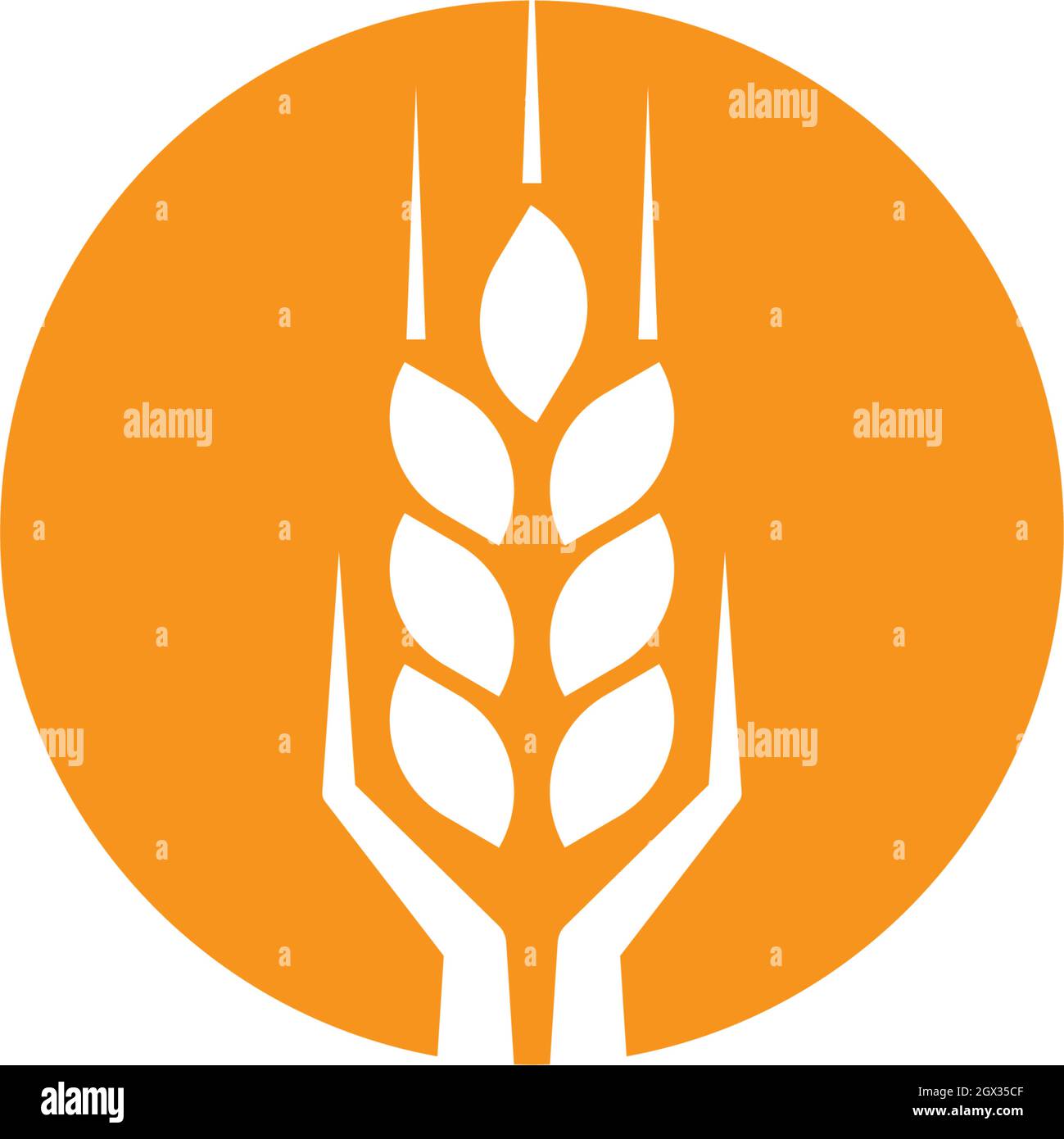 Agriculture wheat Logo Template vector icon design Stock Vector Image ...