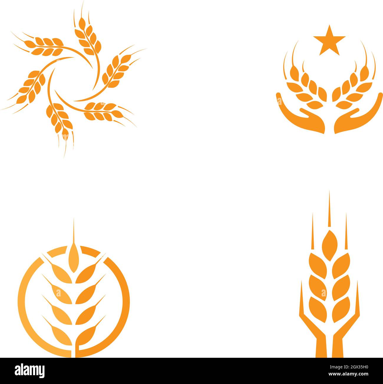 Agriculture wheat Logo Template vector icon design Stock Vector Image ...