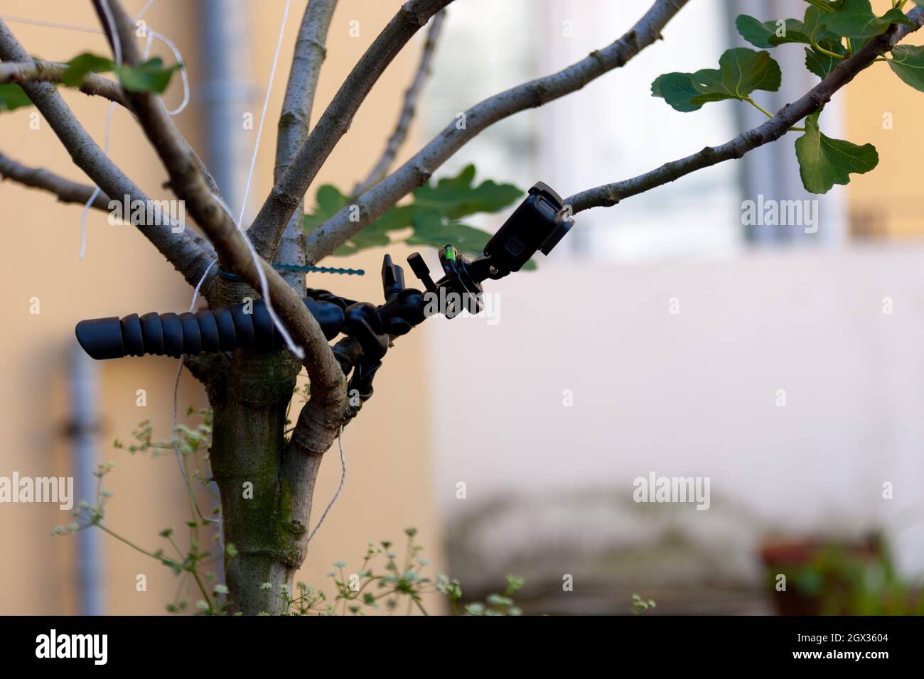 Tree mounted security camera hi-res stock photography and images - Alamy