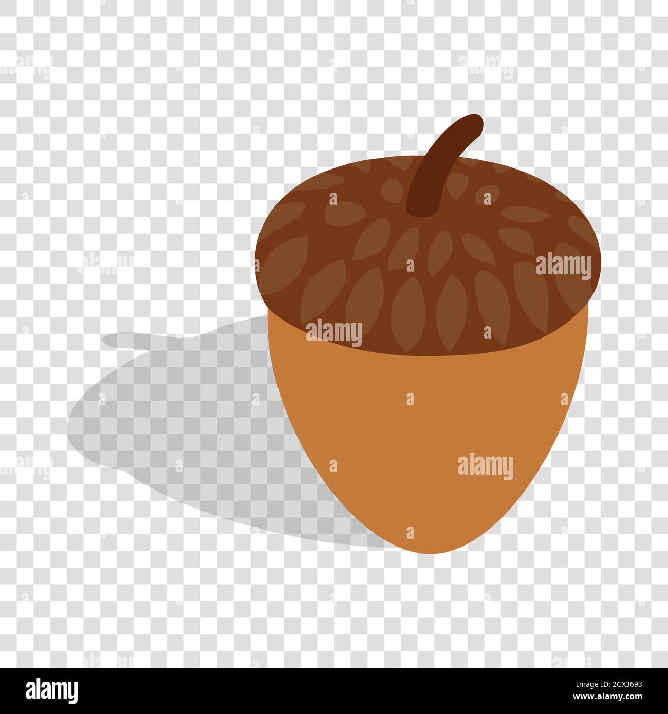 Mature acorn hi-res stock photography and images - Alamy