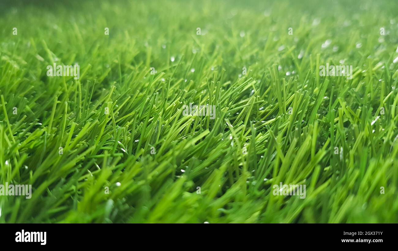 Wet soccer field hi-res stock photography and images - Alamy