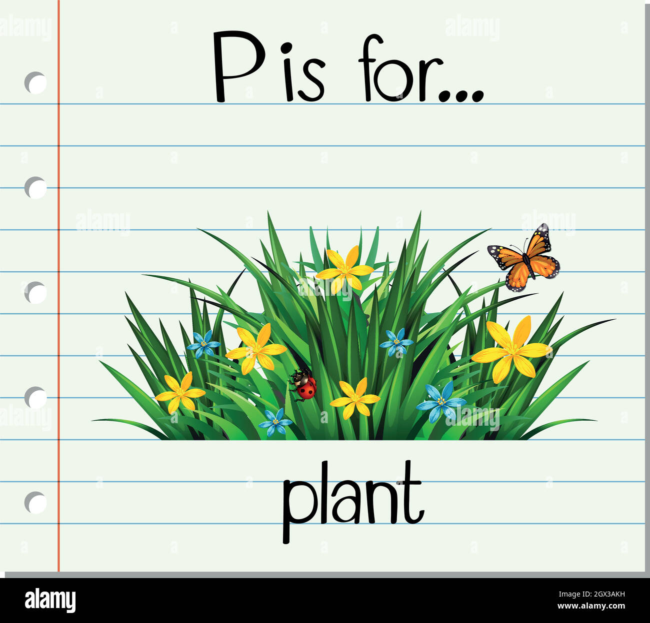 Flashcard letter P is for plant Stock Vector Image & Art - Alamy