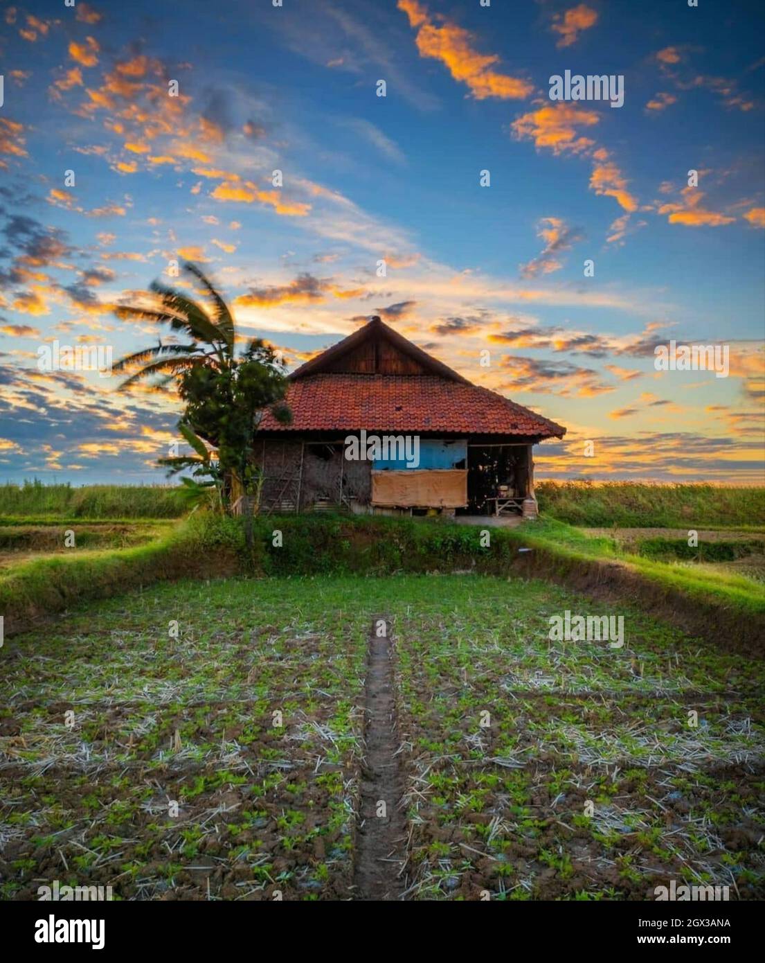 Rural atmosphere hi-res stock photography and images - Alamy