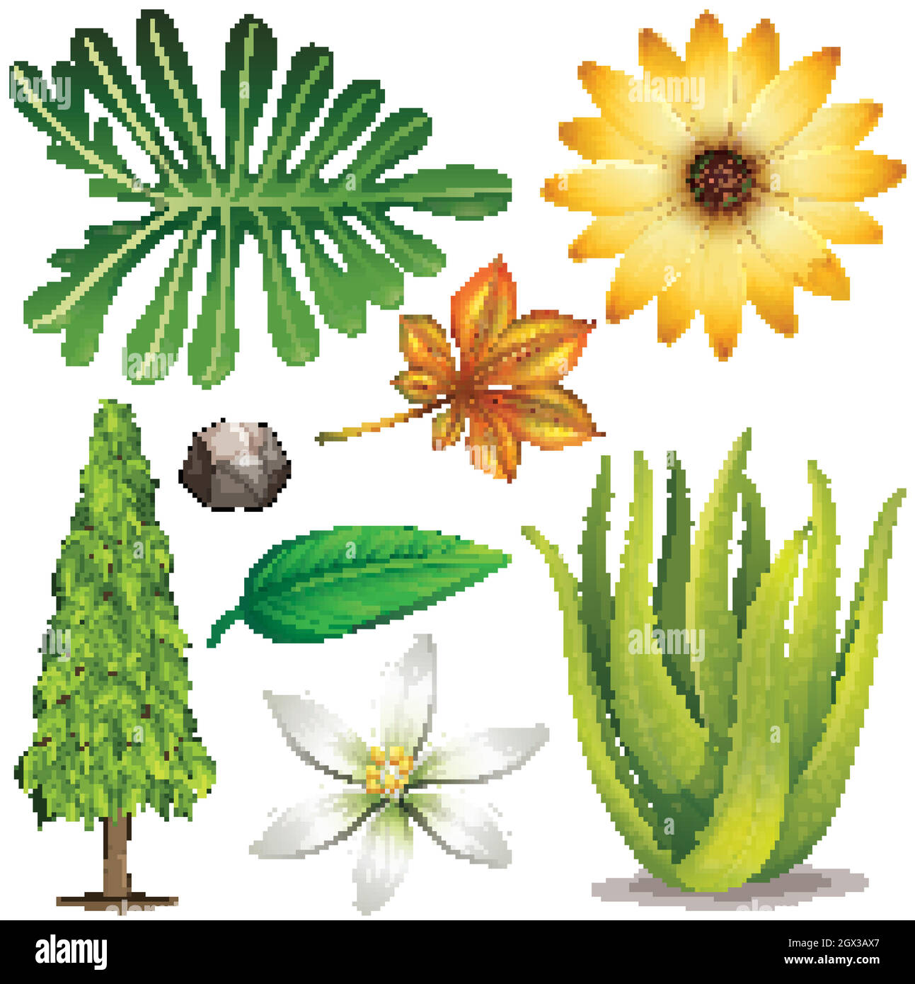 Natural objects Stock Vector Images - Alamy