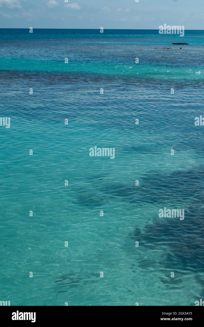 Shallow water coral reefs hi-res stock photography and images - Alamy