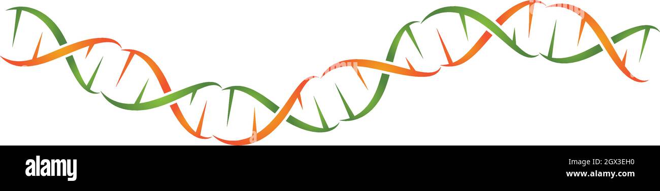 DNA logo vector icon template Stock Vector Image & Art - Alamy
