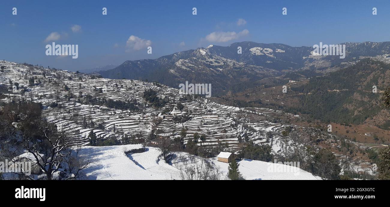 Indian fields hi-res stock photography and images - Alamy