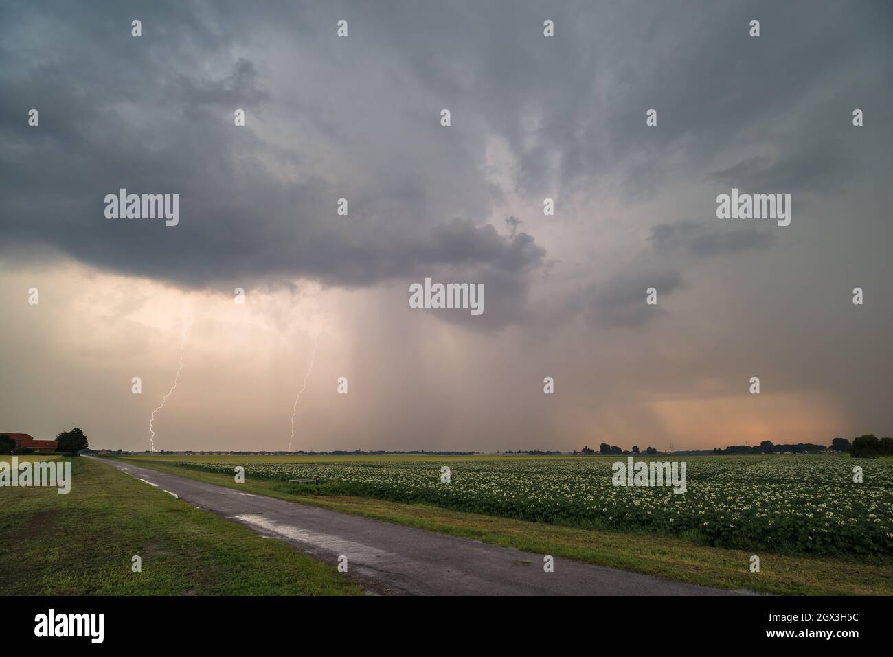 Hitting the ground hi-res stock photography and images - Alamy