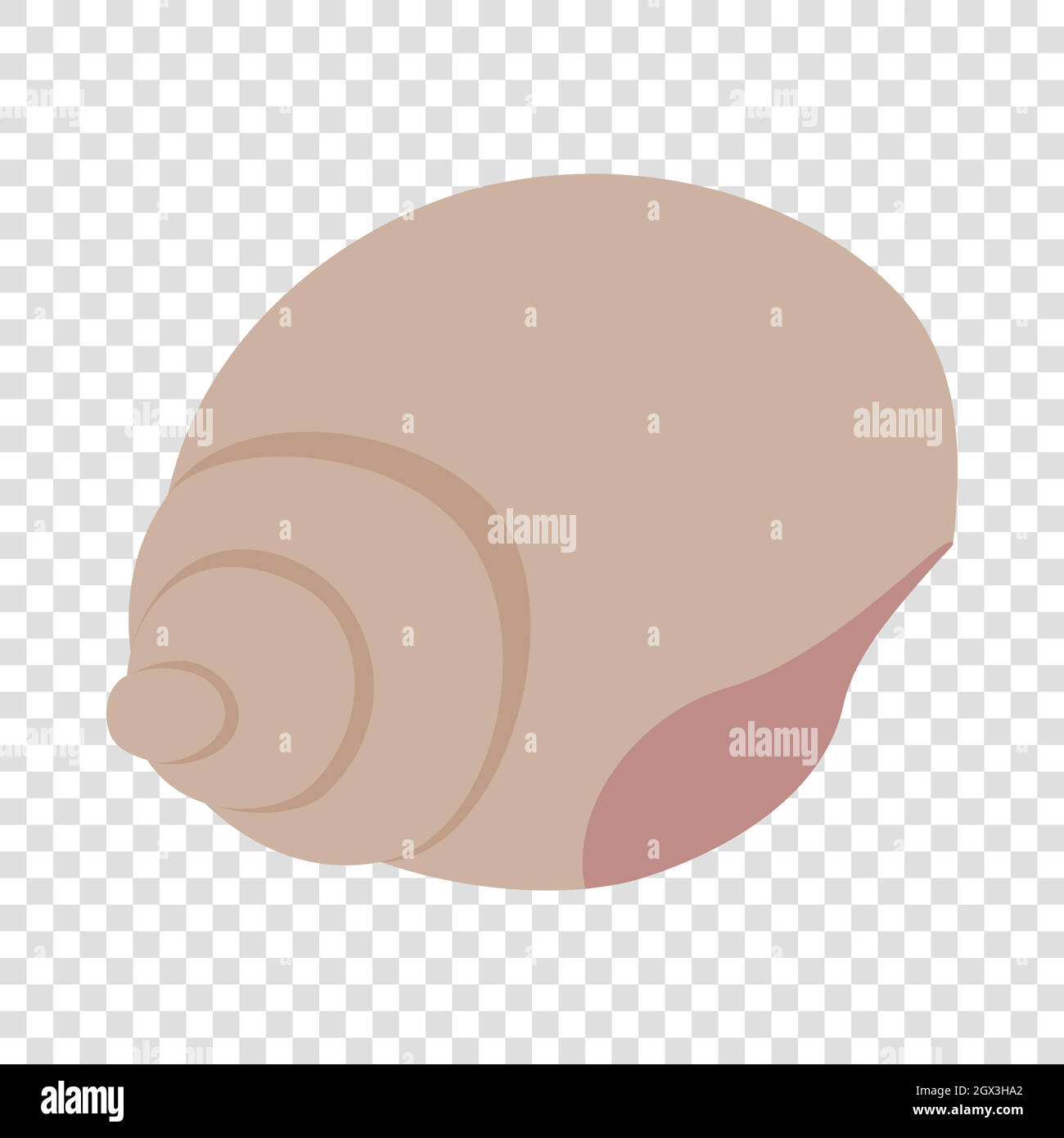 Shell isometric icon Stock Vector Image & Art - Alamy