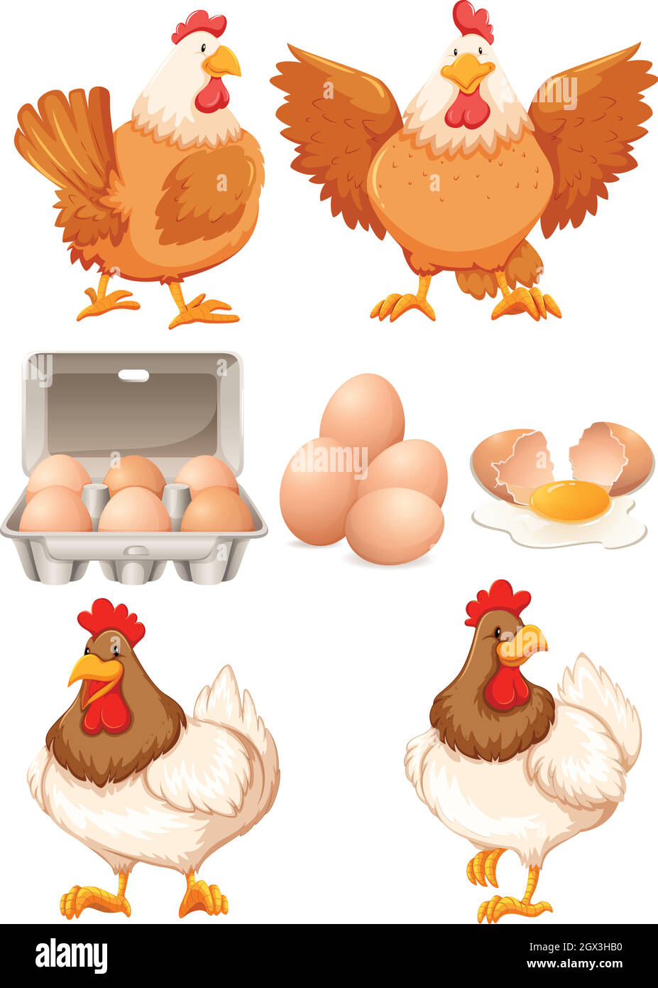 Collection fresh organic chicken Stock Vector Images - Alamy