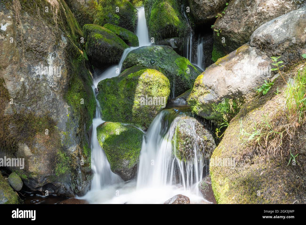 Becky falls dartmoor hi-res stock photography and images - Alamy