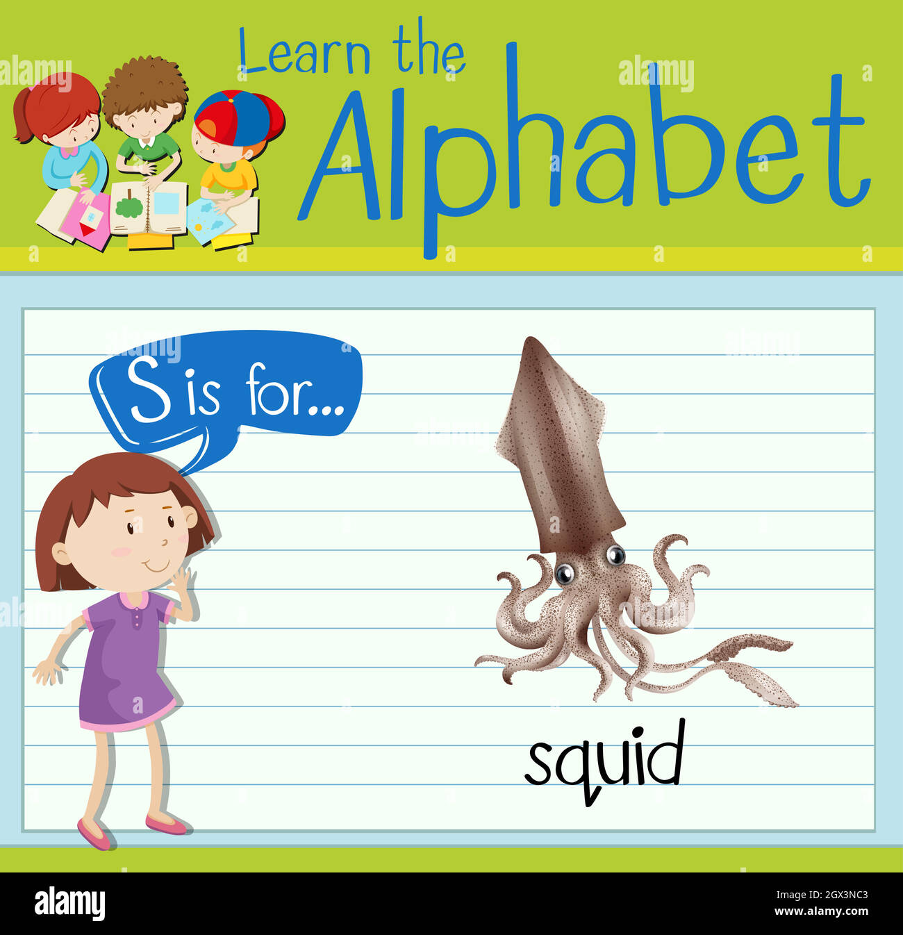 Flashcard letter S is for squid Stock Vector Image & Art - Alamy