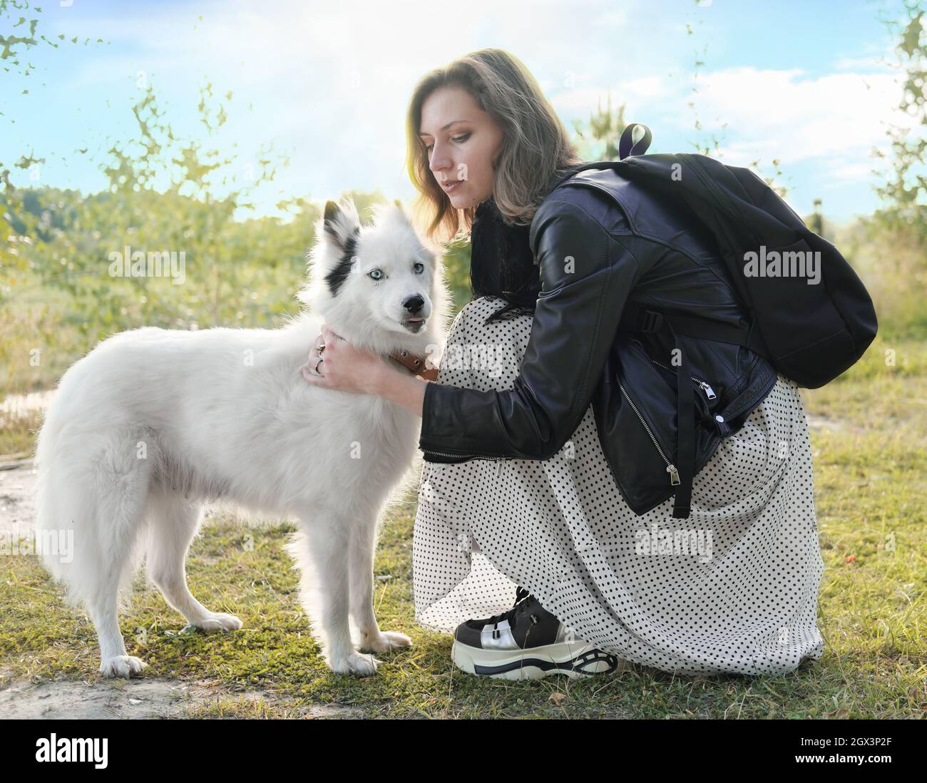 happy smiling woman hugging and stroking her dog. yakutian laika ...