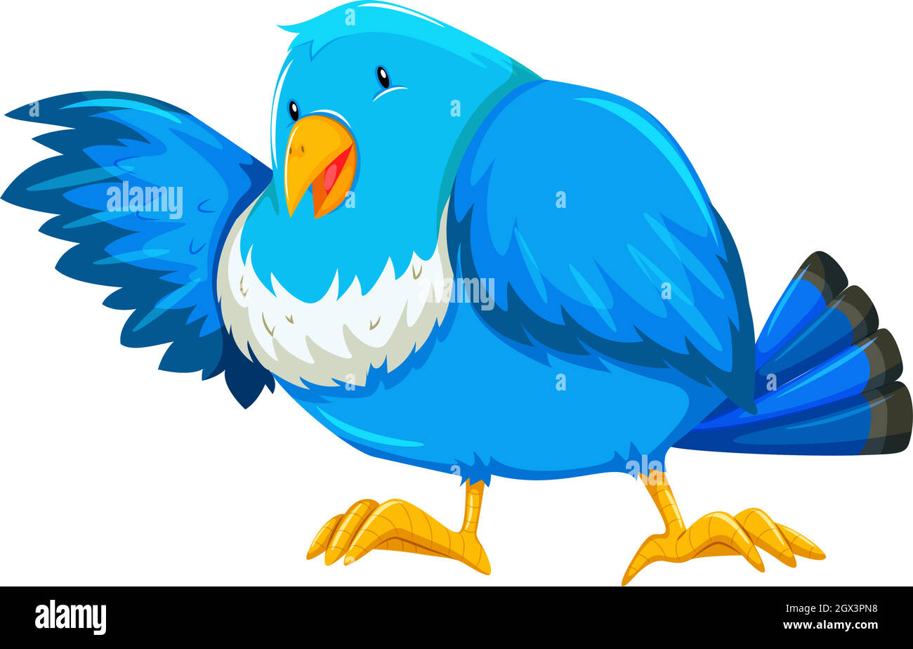 Close up bird on Stock Vector Images - Alamy