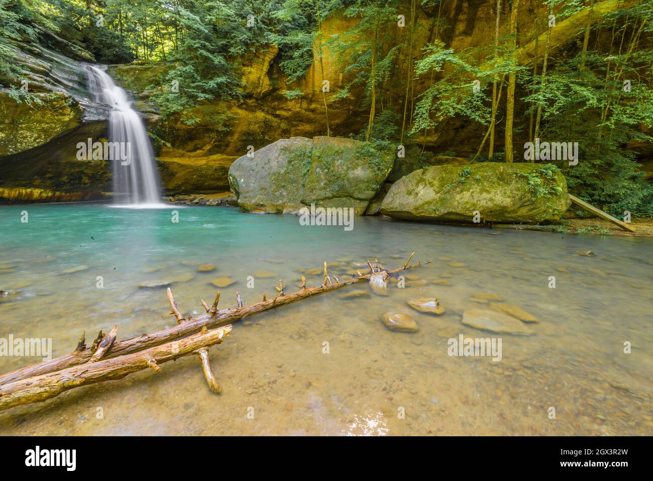Hocking hills state park wildlife hi-res stock photography and images ...