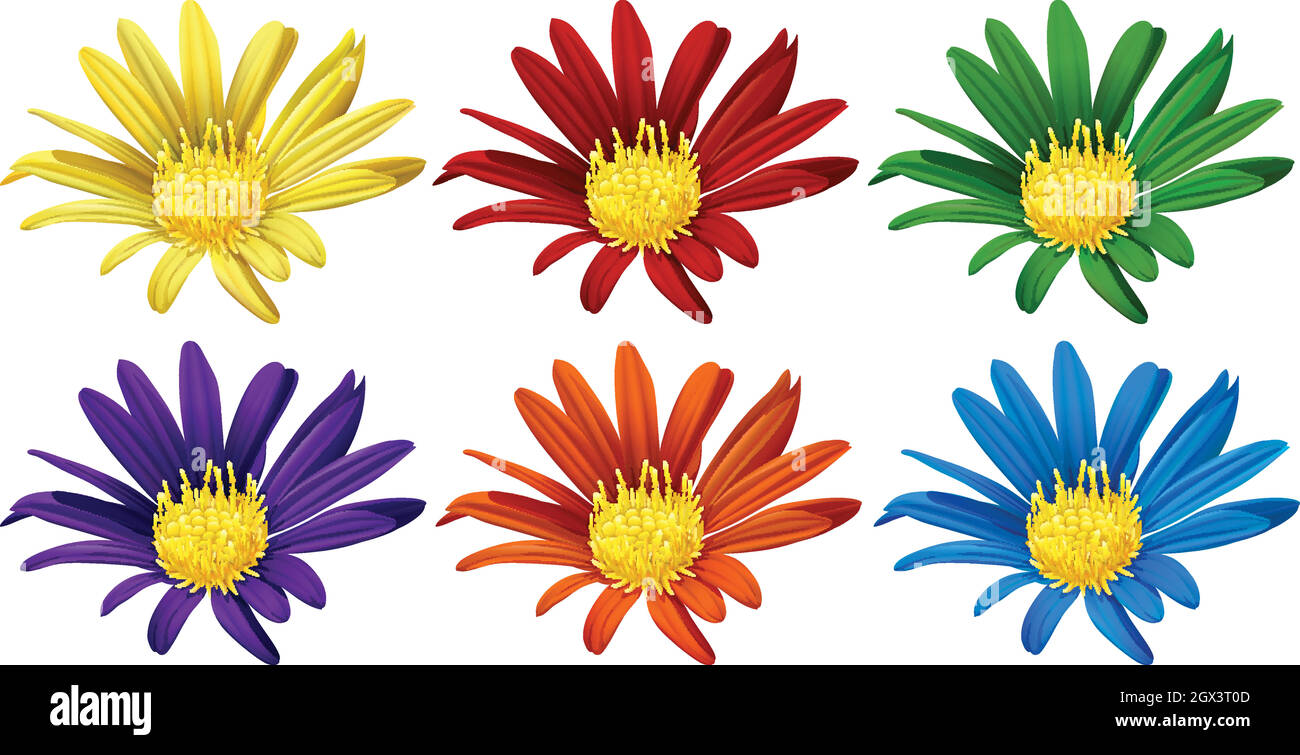 Set flowers red colors Stock Vector Images - Alamy