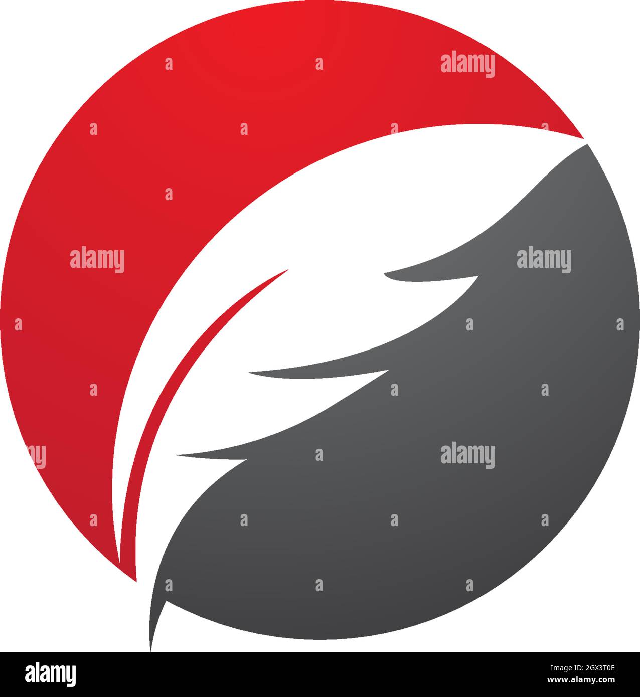 Feather Logo template Vector illustration Stock Vector Image & Art - Alamy