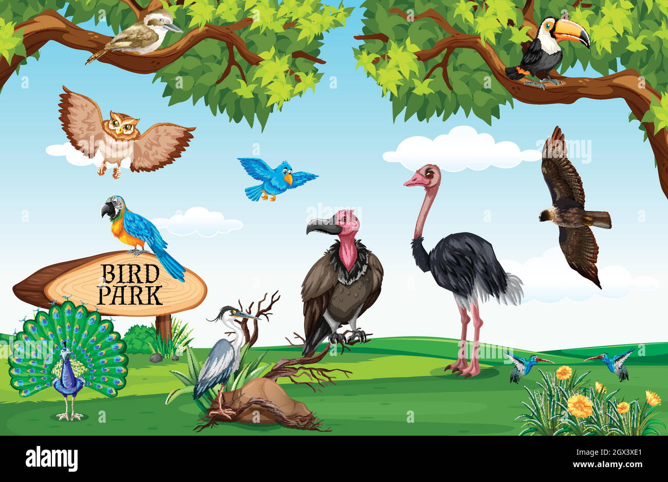 Wild animals in the field Stock Vector Image & Art - Alamy