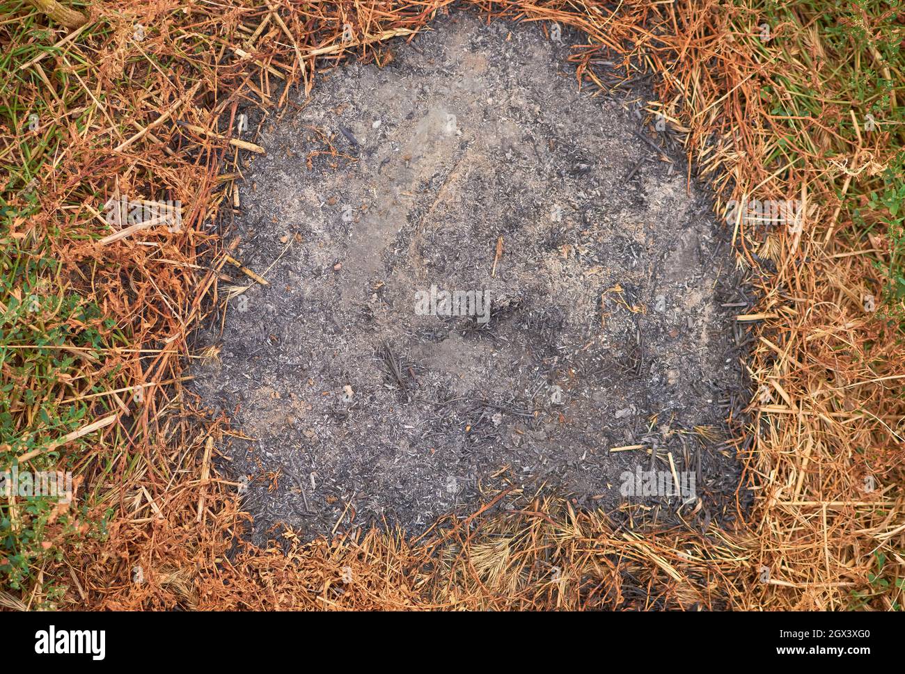 Burnt patch hi-res stock photography and images - Alamy