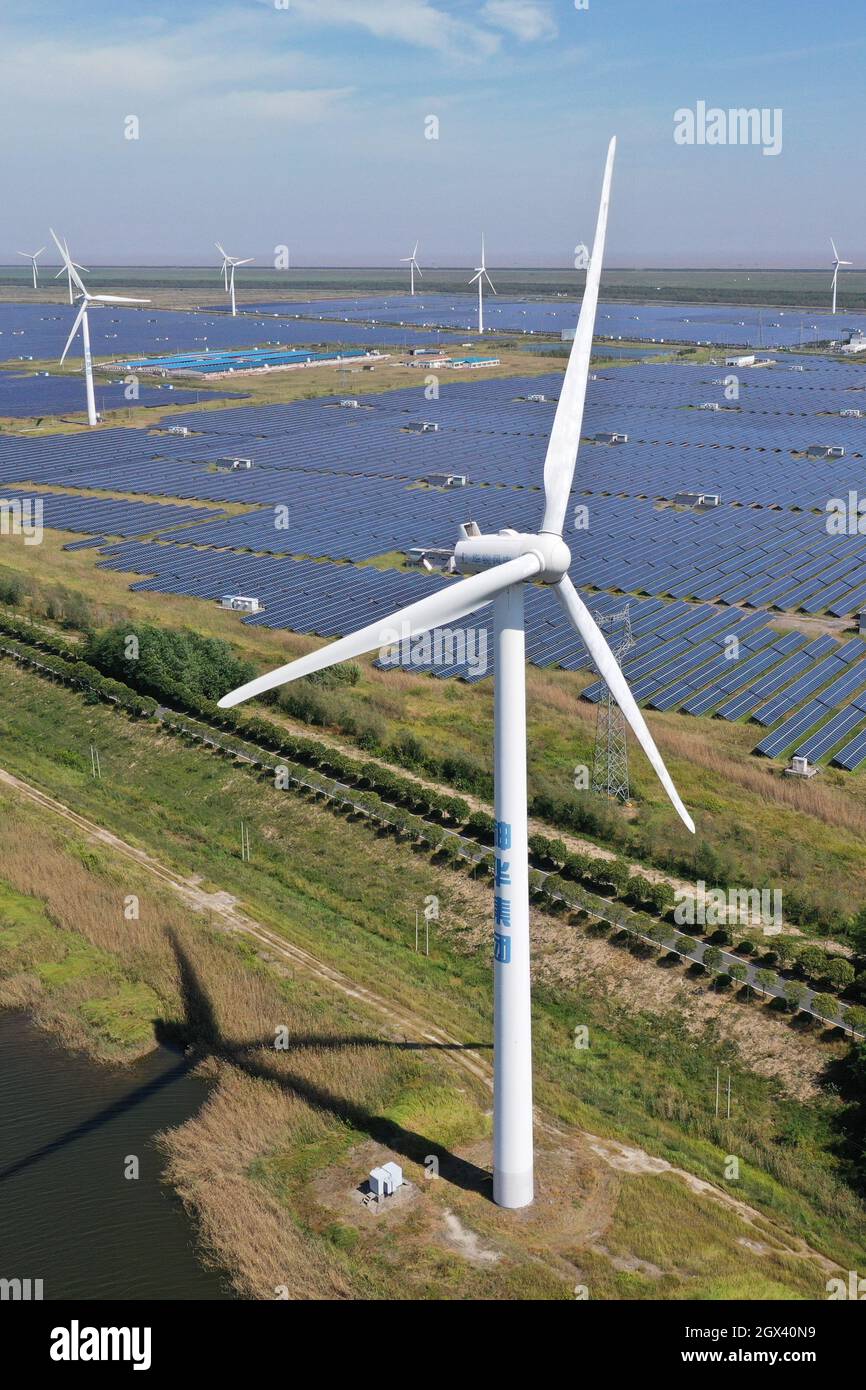 YANCHENG, CHINA - OCTOBER 4, 2021 - Rows of wind turbines stand along a ...
