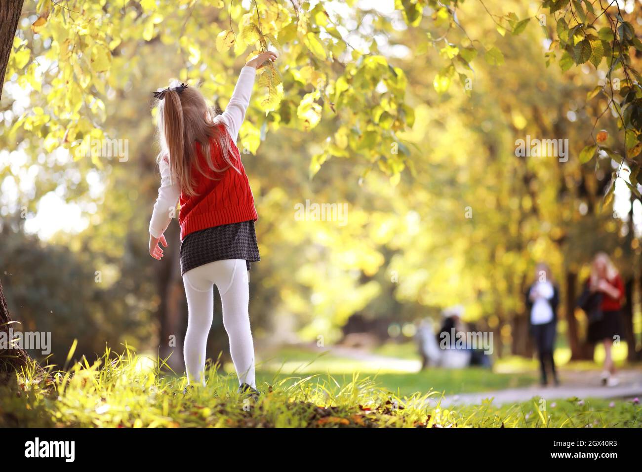Children with briefcases for a walk in park. School break. The ...