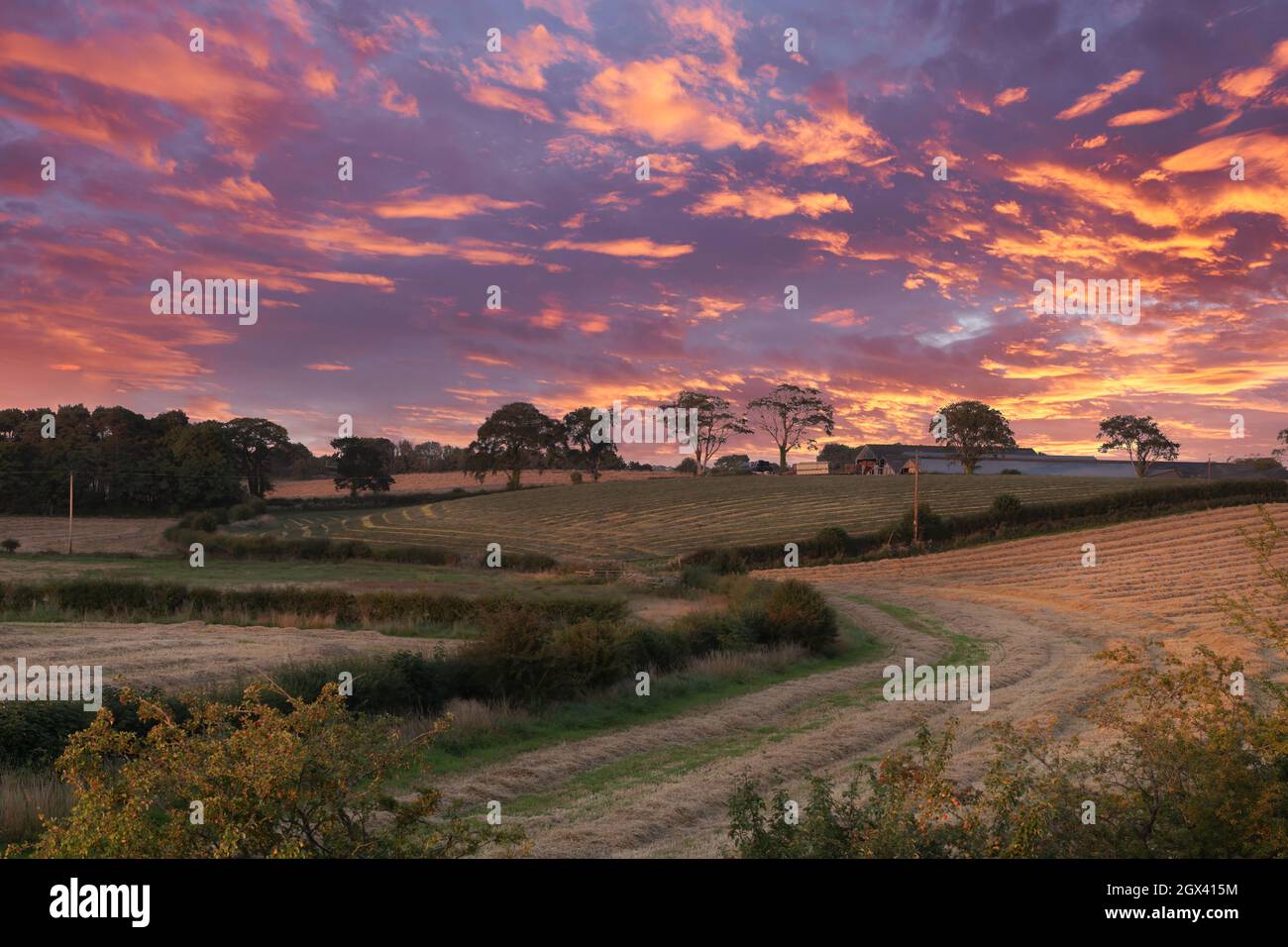 Perceton mains hi-res stock photography and images - Alamy
