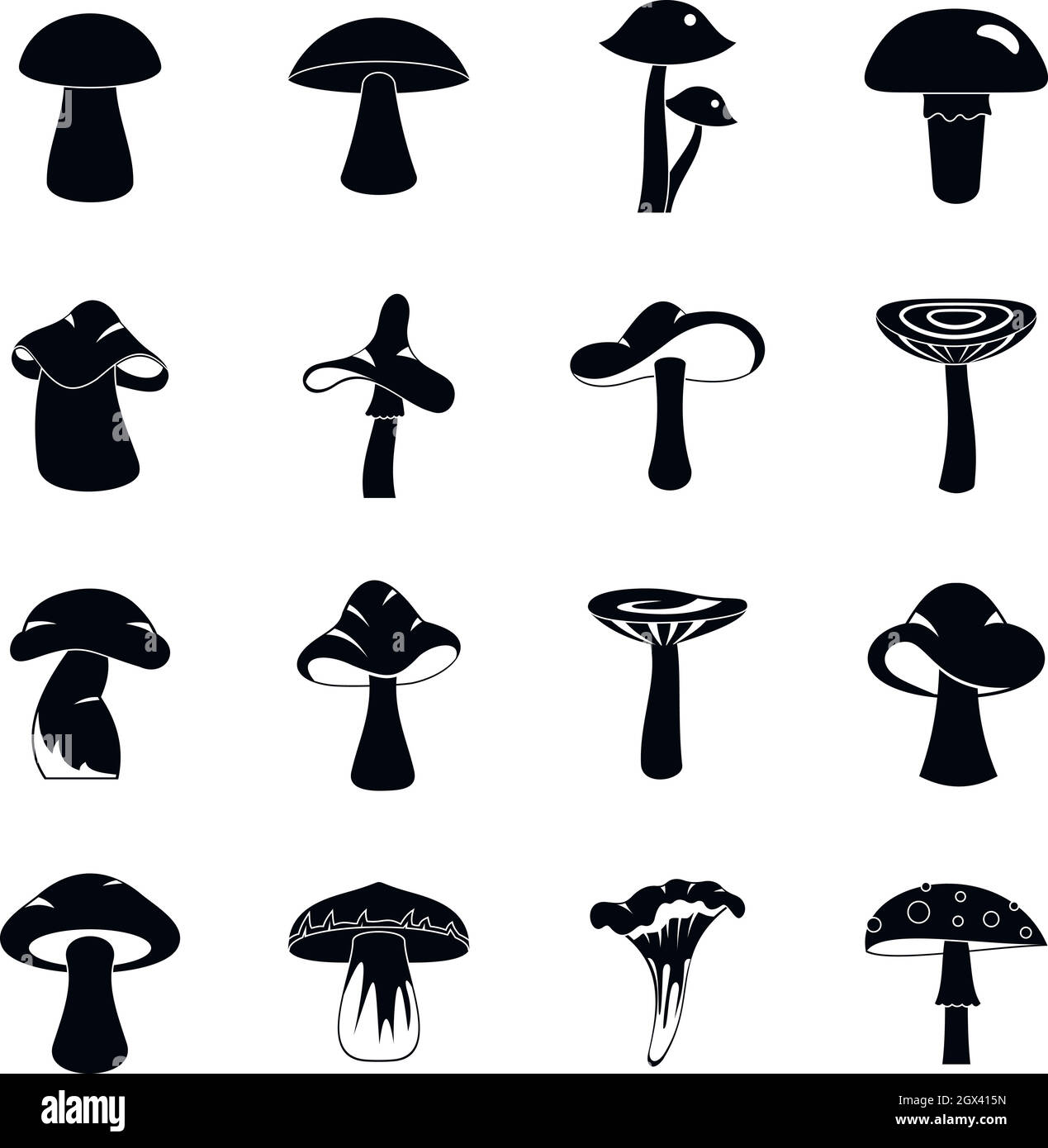 Mushroom mycelium Stock Vector Images - Alamy