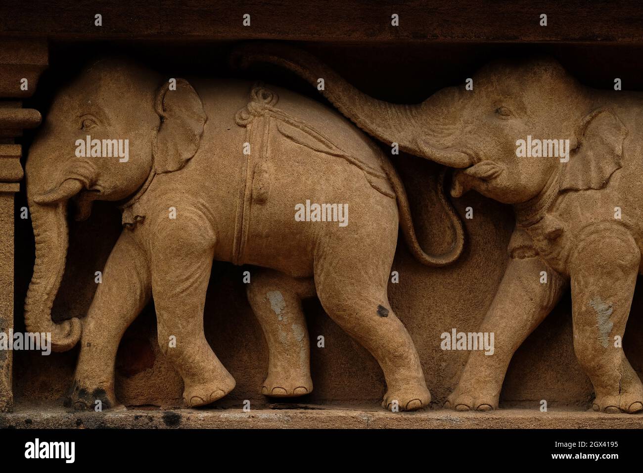 Colombo elephant hi-res stock photography and images - Alamy